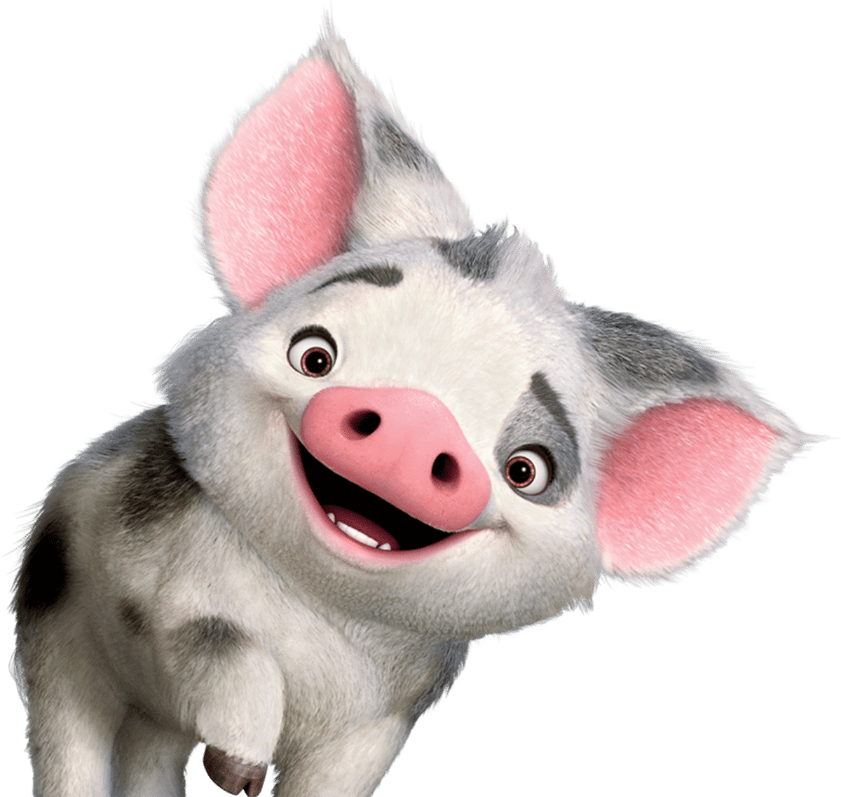 Pua tsum tsum pluche - knuffel • Mijn Knuffel