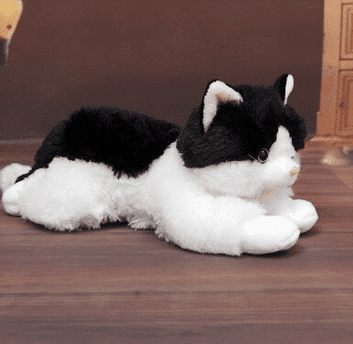 Zwarte pluche kat - knuffel • Mijn Knuffel